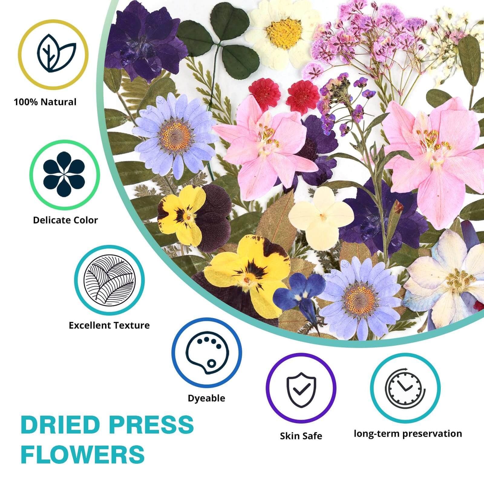 Resiners® 100Pcs Dried Flowers for Resin Molds, Natural Flowers, Real ...